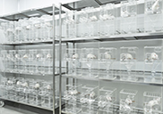 TPX™ | MITSUI CHEMICALS AMERICA, INC.